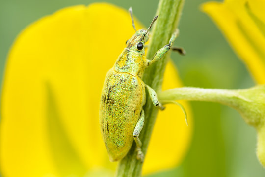 Biofertilizer Bilder – Durchsuchen 305 Archivfotos, Vektorgrafiken und ...