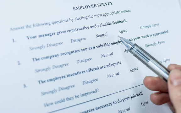 "Strongly Agree" Images – Browse 84 Stock Photos, Vectors, and Video ...