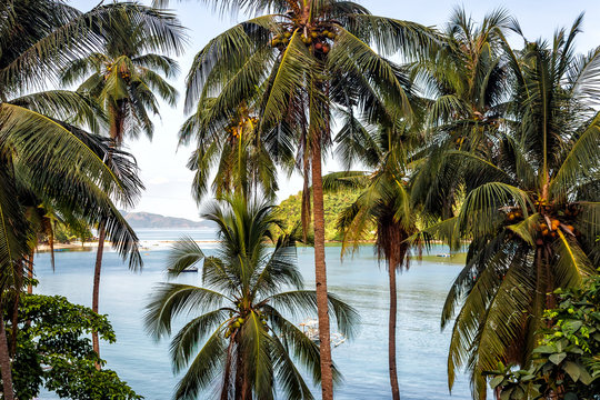 Tropicalclimate Bilder – Durchsuchen 242 Archivfotos, Vektorgrafiken ...