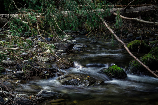 「Zlaca」の写真素材 | 13件の無料イラスト画像 | Adobe Stock