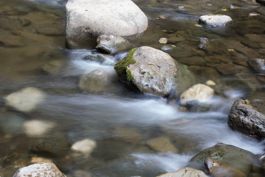 Zlaca Images – Browse 13 Stock Photos, Vectors, and Video | Adobe Stock