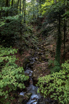 「Zlaca」の写真素材 | 13件の無料イラスト画像 | Adobe Stock