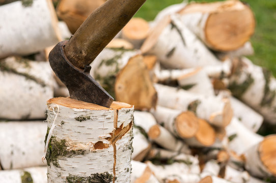 รูปภาพPollaxe – เลือกดูภาพถ่ายสต็อก เวกเตอร์ และวิดีโอ3,875 | Adobe Stock