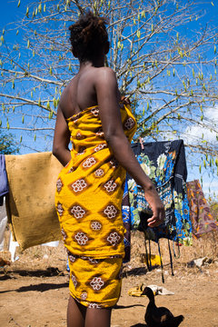 Lamba Images – Browse 927 Stock Photos, Vectors, and Video | Adobe Stock