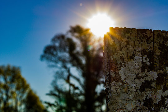 「Ensolarado」の写真素材 | 2,098件の無料イラスト画像 | Adobe Stock