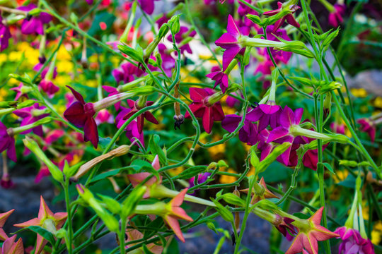 "Austin Koeckeritz" Bilder – Durchsuchen 114 Archivfotos ...