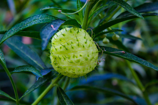 "Austin Koeckeritz"-Bilder: Stock-Fotos & -Videos. | Adobe Stock