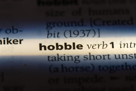 Hobble Images – Browse 15,974 Stock Photos, Vectors, and Video | Adobe ...