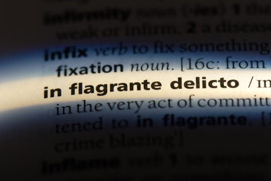 "Flagrante Delicto" Images – Browse 464 Stock Photos, Vectors, and ...