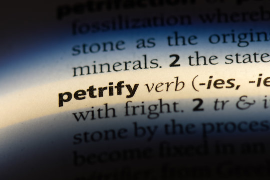 Petrify 影像 – 瀏覽 31,682 個素材庫相片、向量圖和影片 | Adobe Stock