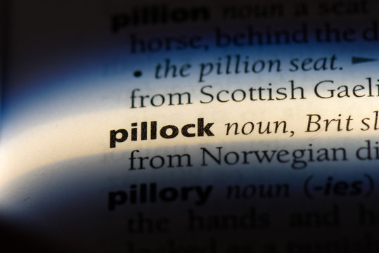 「Pillock」の写真素材 | 67件の無料イラスト画像 | Adobe Stock