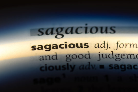 Imágenes de Sagacious: descubre bancos de fotos, ilustraciones ...