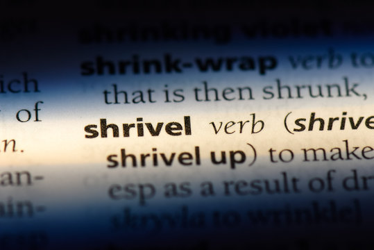 รูปภาพShrivel – เลือกดูภาพถ่ายสต็อก เวกเตอร์ และวิดีโอ53,371 | Adobe Stock