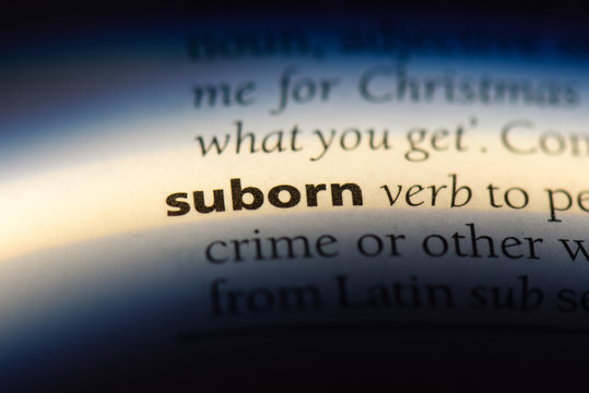 Suborn Images – Browse 260 Stock Photos, Vectors, and Video | Adobe Stock