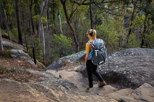 รูปภาพBushwalking – เลือกดูภาพถ่ายสต็อก เวกเตอร์ และวิดีโอ2,846 | Adobe ...