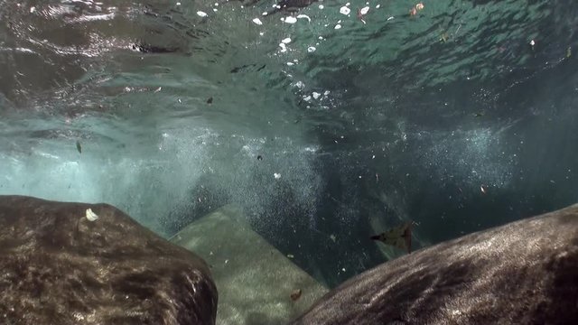 Undercurrent Images – Browse 1,259 Stock Photos, Vectors, and Video | Adobe Stock