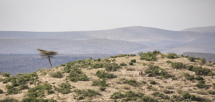 Sahel Bilder – Durchsuchen 3,751 Archivfotos, Vektorgrafiken und Videos ...