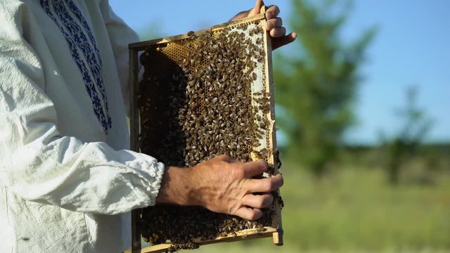 Beekeeping Images – Browse 164,806 Stock Photos, Vectors, and Video ...