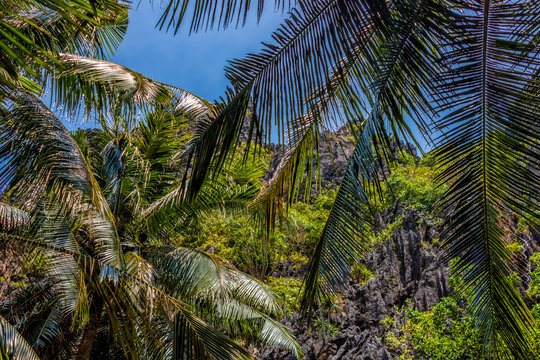 Tropicalclimate Bilder – Durchsuchen 243 Archivfotos, Vektorgrafiken ...