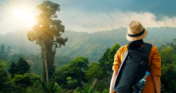 Jungle Exploring Bilder – Durchsuchen 34,212 Archivfotos ...