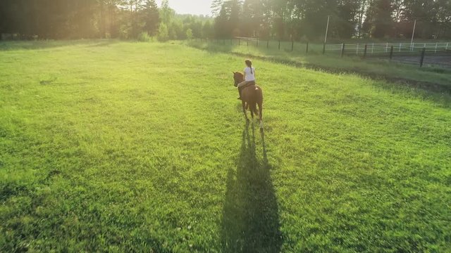 Trotted-Bilder: Stock-Fotos & -Videos. | Adobe Stock