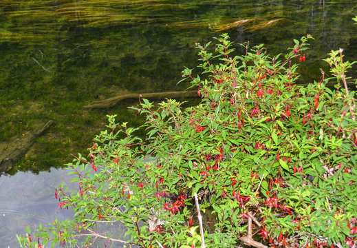「Aljaba」の写真素材 | 17件の無料イラスト画像 | Adobe Stock