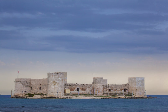 รูปภาพCorycus – เลือกดูภาพถ่ายสต็อก เวกเตอร์ และวิดีโอ1,208 | Adobe Stock