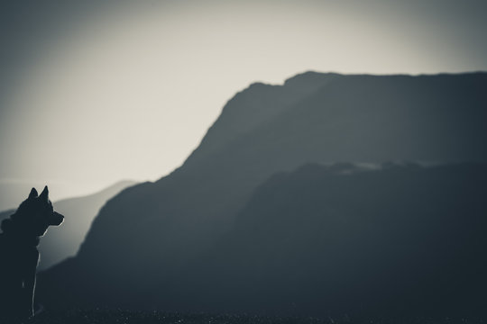 Guetter Bilder – Durchsuchen 523 Archivfotos, Vektorgrafiken und Videos ...