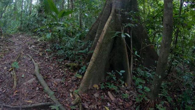 Wimba Images – Browse 62 Stock Photos, Vectors, and Video | Adobe Stock