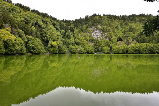 Congro Bilder – Durchsuchen 228 Archivfotos, Vektorgrafiken und Videos ...