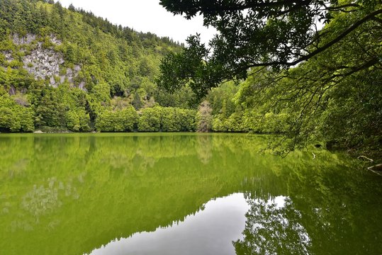 Congro Bilder – Durchsuchen 228 Archivfotos, Vektorgrafiken und Videos ...