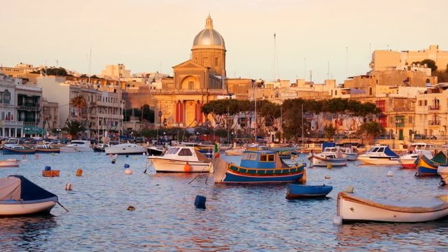 Dahla Images – Browse 57 Stock Photos, Vectors, and Video | Adobe Stock