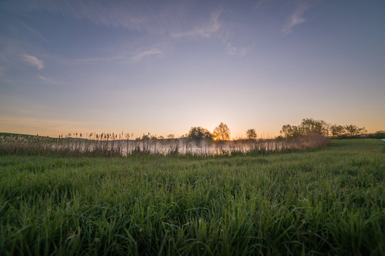 "Light Through Trees" Images – Browse 113 Stock Photos, Vectors, and ...