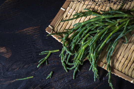 "Sea Beans" Images – Browse 303 Stock Photos, Vectors, and Video ...