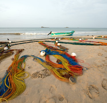 "Tangle Net" Bilder – Durchsuchen 91 Archivfotos, Vektorgrafiken und ...