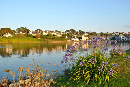 Imágenes de Wrach: descubre bancos de fotos, ilustraciones, vectores y ...