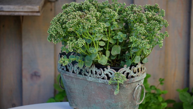 Blechtopf Bilder – Durchsuchen 897 Archivfotos, Vektorgrafiken und ...