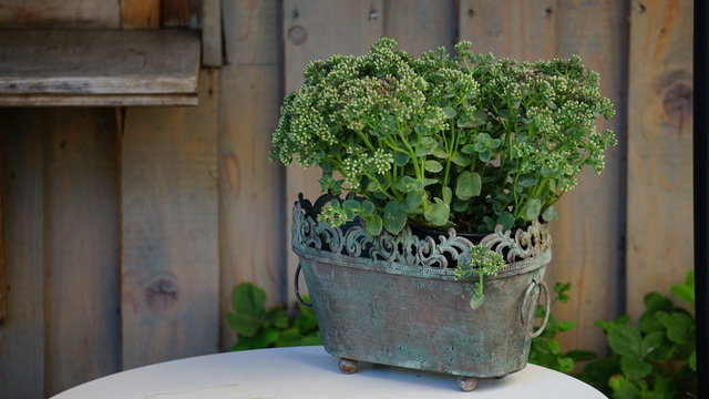 Blechtopf Bilder – Durchsuchen 820 Archivfotos, Vektorgrafiken und ...