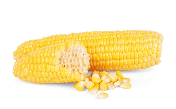 201 BEST Mielies IMAGES, STOCK PHOTOS & VECTORS | Adobe Stock