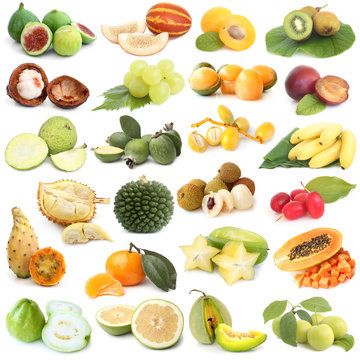 Kinnip Bilder – Durchsuchen 3,314 Archivfotos, Vektorgrafiken und ...