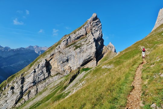 Afbeeldingen over Bergwandern – Blader in stockfoto's, vectoren en ...