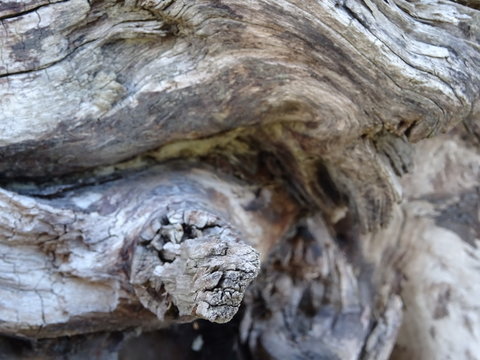 รูปภาพUrige – เลือกดูภาพถ่ายสต็อก เวกเตอร์ และวิดีโอ129 | Adobe Stock