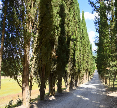 รูปภาพFarden – เลือกดูภาพถ่ายสต็อก เวกเตอร์ และวิดีโอ156 | Adobe Stock