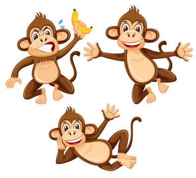 4,755 BEST Angry Monkey Cartoon IMAGES, STOCK PHOTOS & VECTORS | Adobe ...