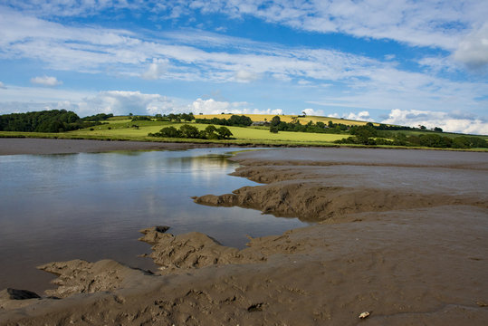 Tiddy Bilder – Durchsuchen 30 Archivfotos, Vektorgrafiken und Videos ...