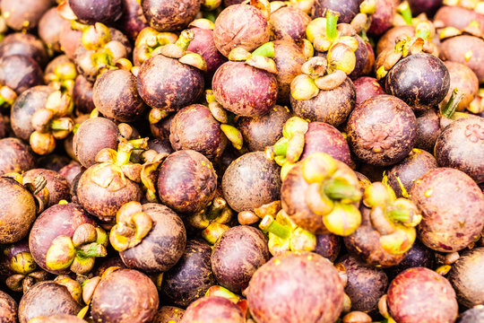 รูปภาพMangustan – เลือกดูภาพถ่ายสต็อก เวกเตอร์ และวิดีโอ442 | Adobe Stock