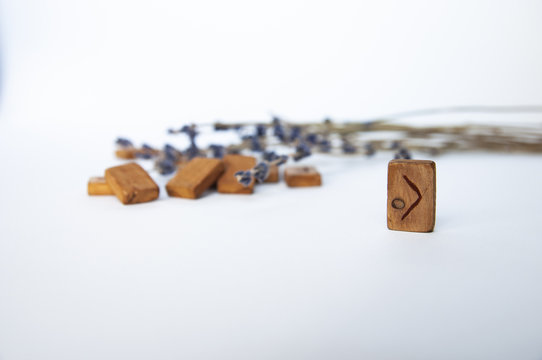 รูปภาพKaunan – เลือกดูภาพถ่ายสต็อก เวกเตอร์ และวิดีโอ6 | Adobe Stock