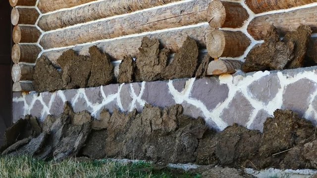 Tezek bilder – Bläddra bland 5 stockfoton, vektorer och videor | Adobe ...