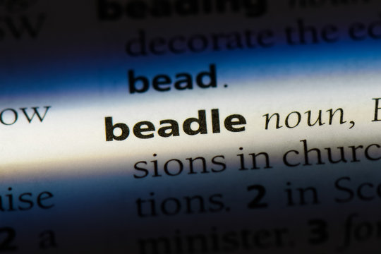 Beadle Images – Browse 130 Stock Photos, Vectors, and Video | Adobe Stock