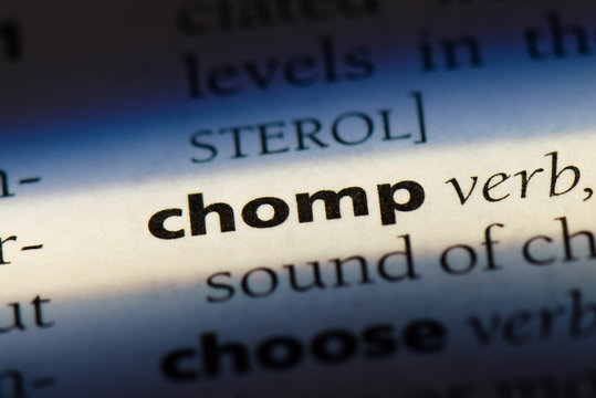 Chomp Images – Browse 7,828 Stock Photos, Vectors, and Video | Adobe Stock